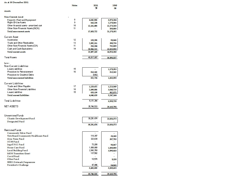 Income and Expenditure Statement and Balance Sheet report | Upwork