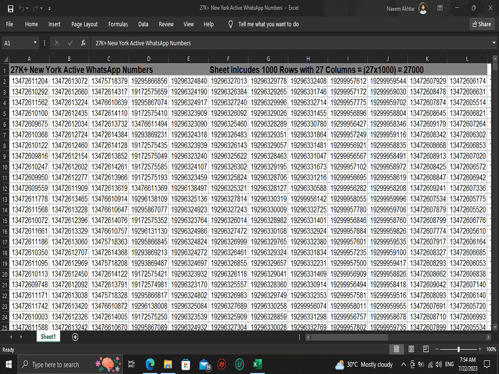WhatsApp Filter | Check WhatsApp numbers verification in bulk | Upwork