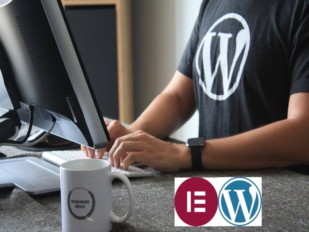 Wordpress Issues To Fix And Customize Website Develop Upwork
