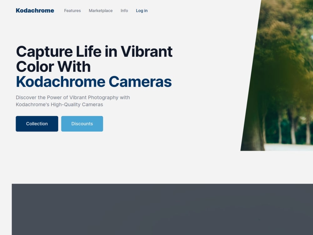 Modern-looking landing page for your product | Upwork