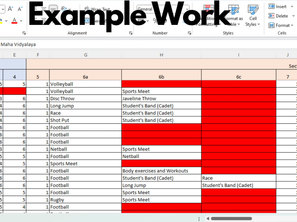 Excel cleaning , formatting and organizing | Upwork