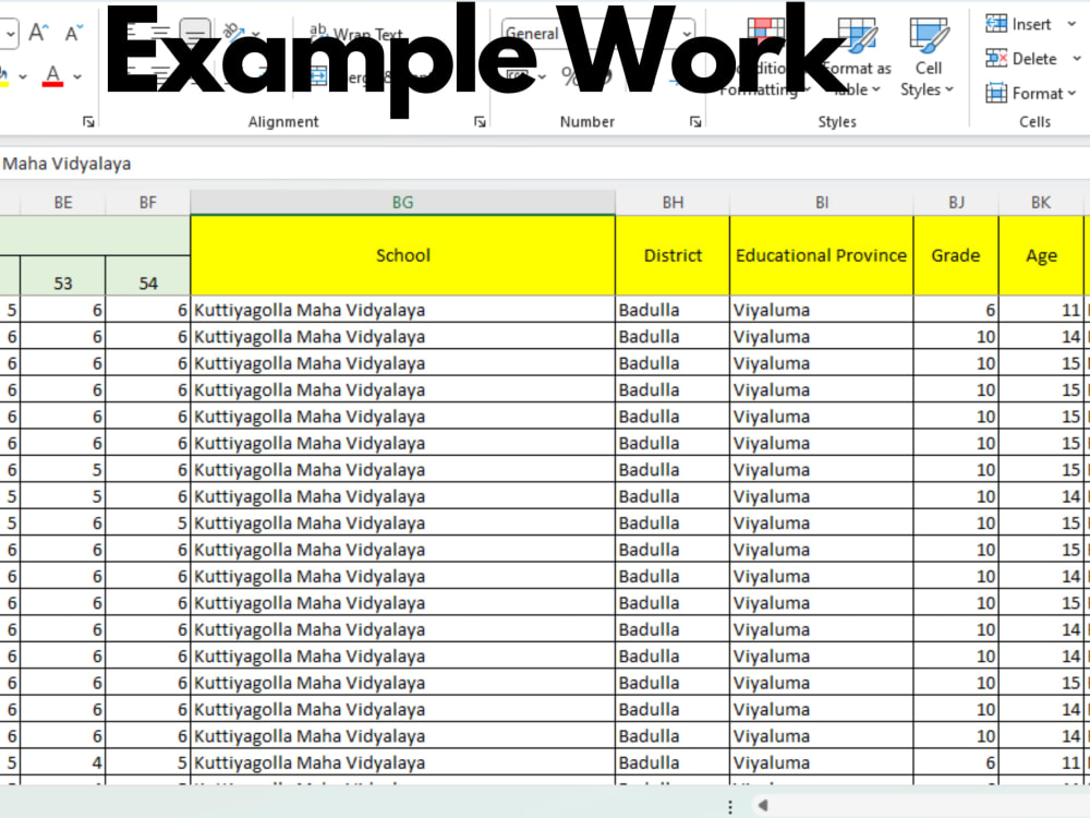 Excel Cleaning Formatting And Organizing Upwork