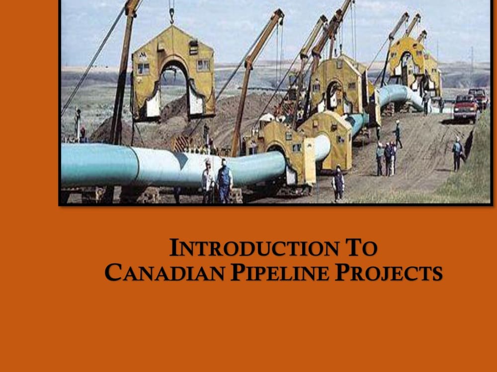 An outstanding procedure that you will be proud of. | Upwork