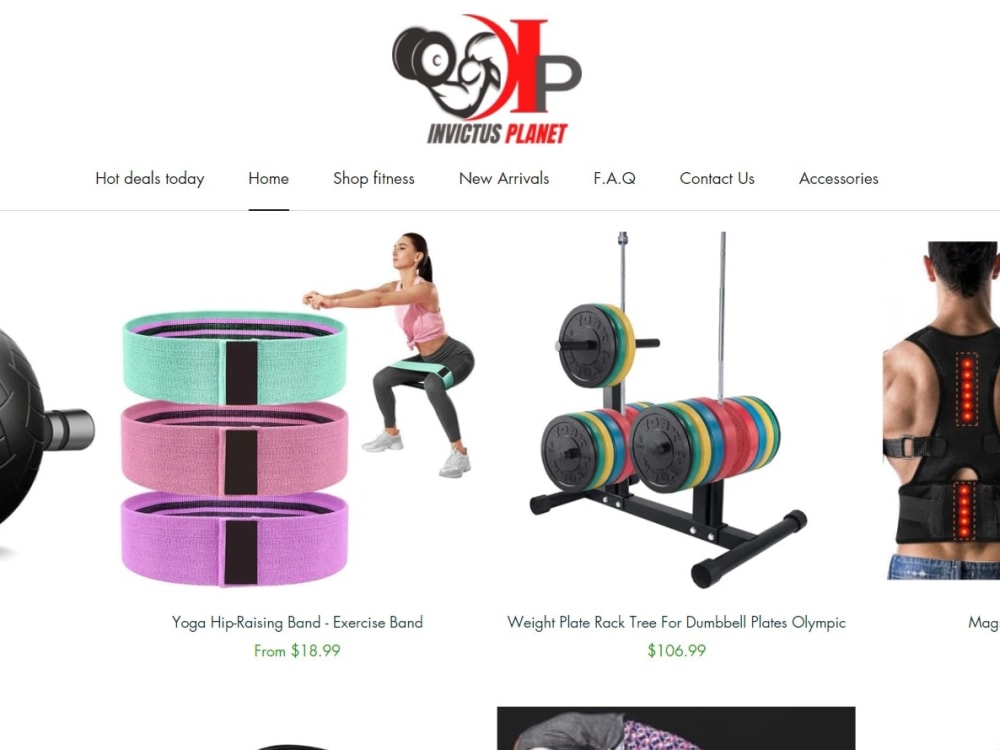 A top-notch Shopify ecom ( niche, private labeling, dropshipping) store ...