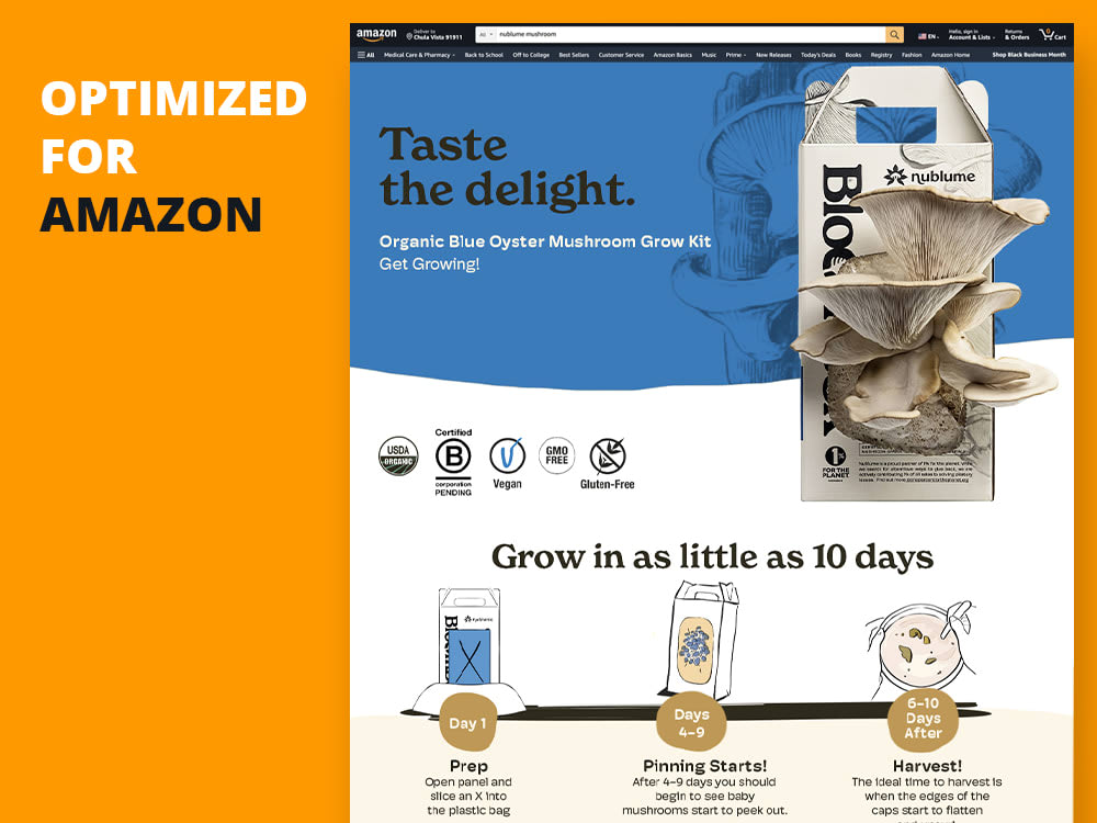Amazon A+ Content designs that are agency quality and optimized for ...