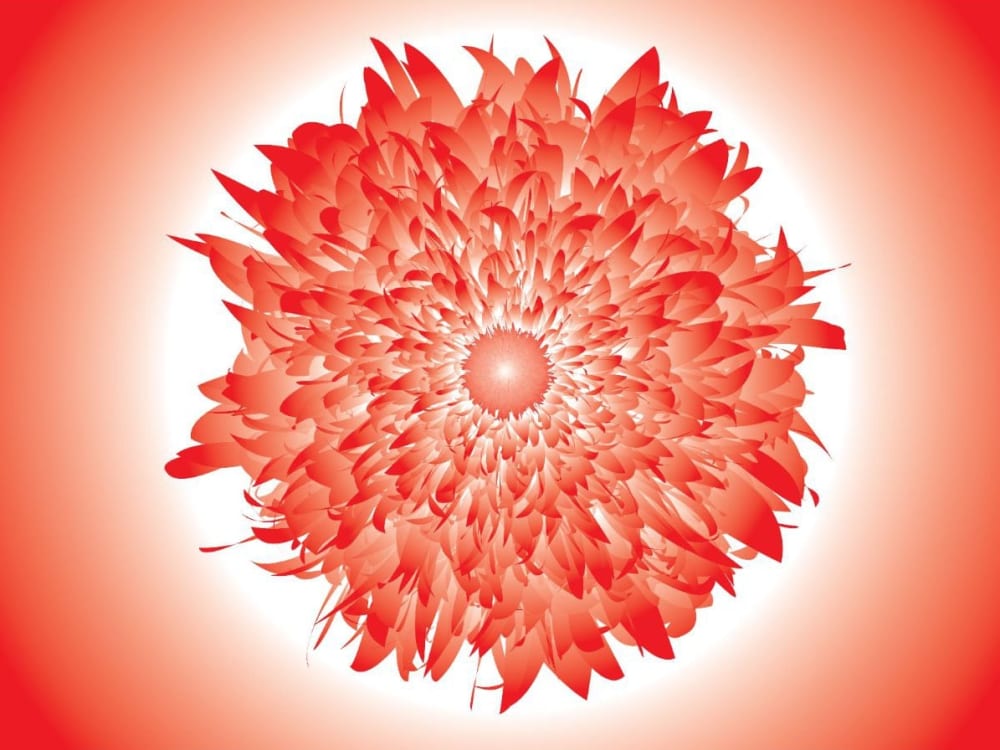 Graphics Designing, Banner Ads, Flyer Design, Brochure Design | Upwork