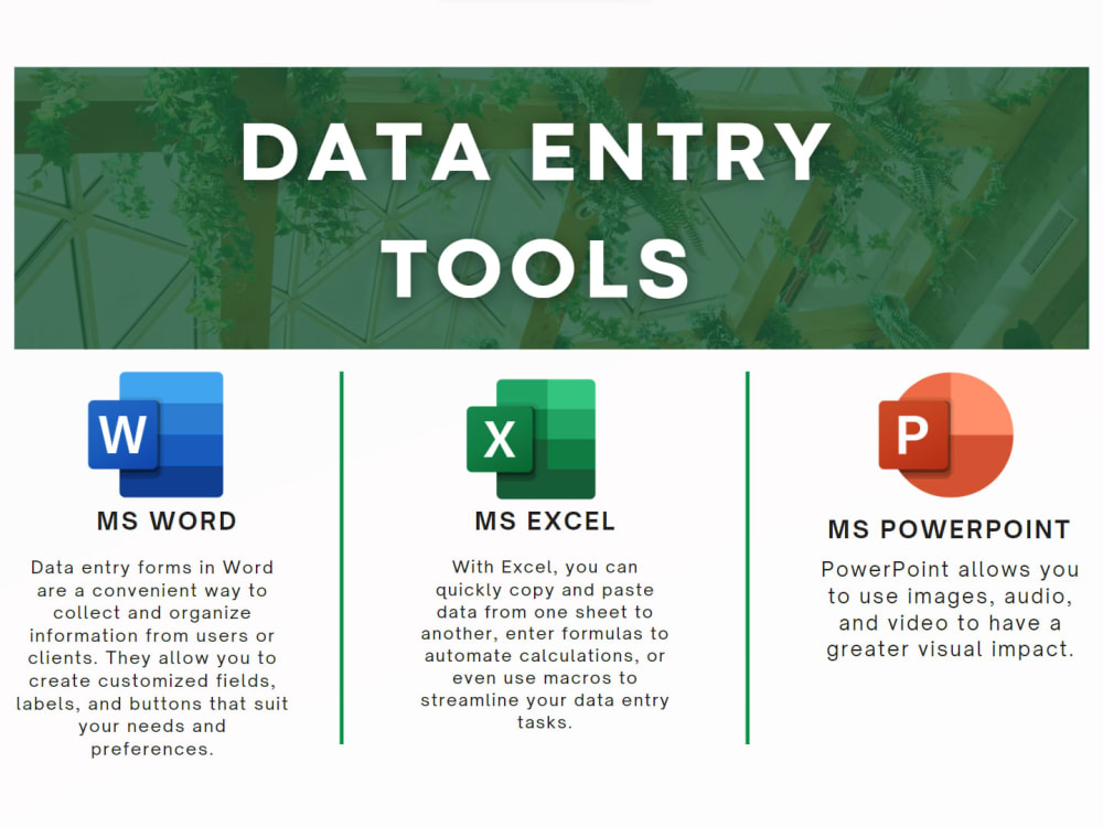 A Female Data Entry Specialist | Upwork