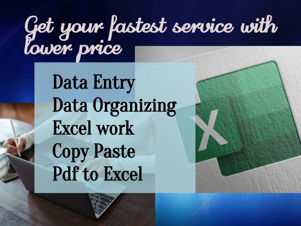 Excel data entry task with high quality and efficiently | Upwork