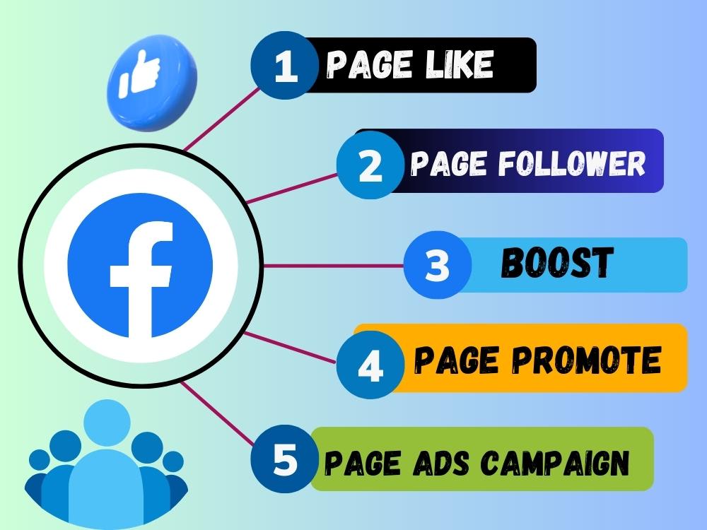 Facebook page likes and followers | Upwork