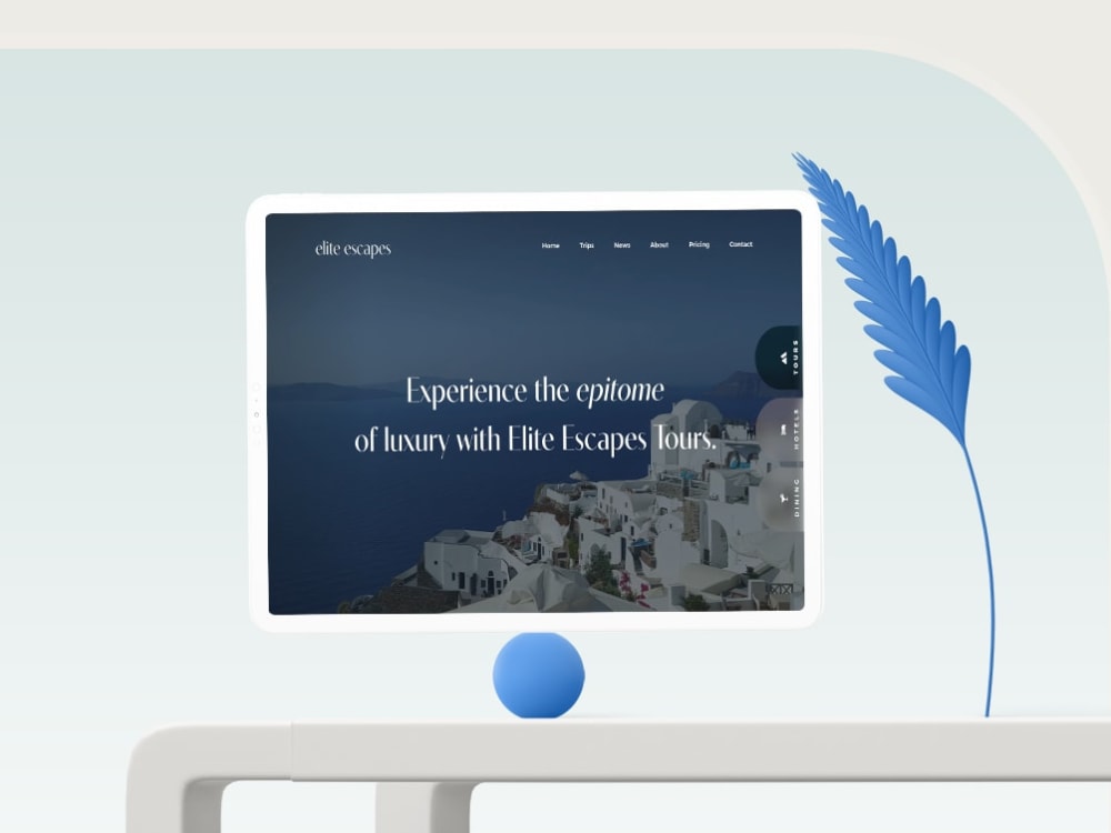 A custom, professional website using webflow | Upwork