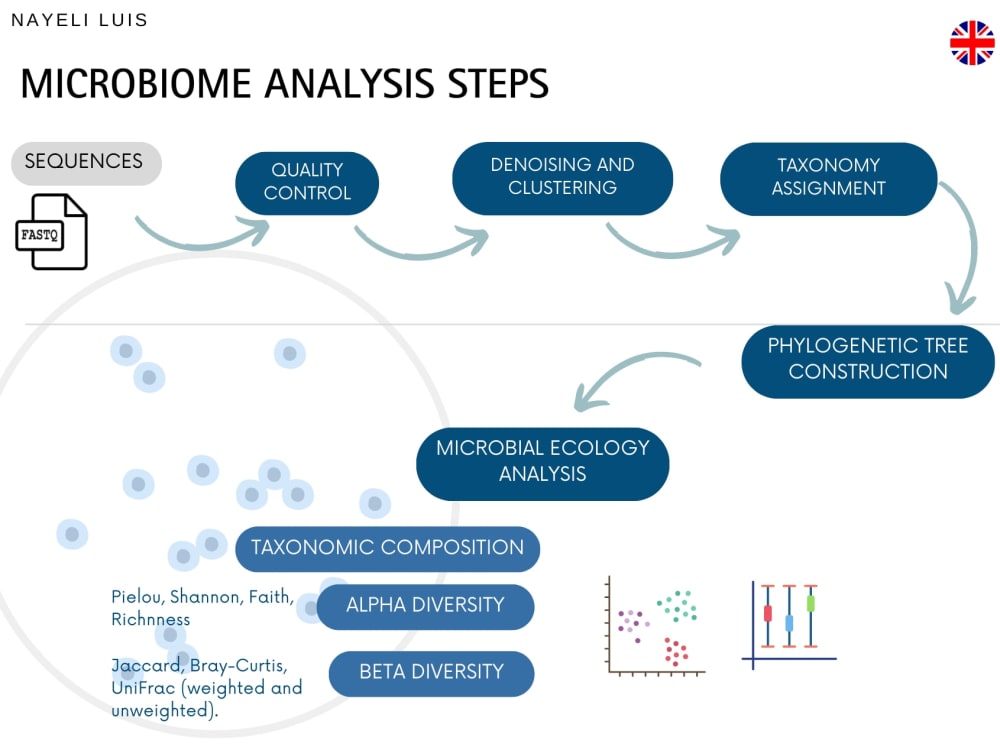 A complete microbiome analysis (through gene marker such as 16S rRNA ...