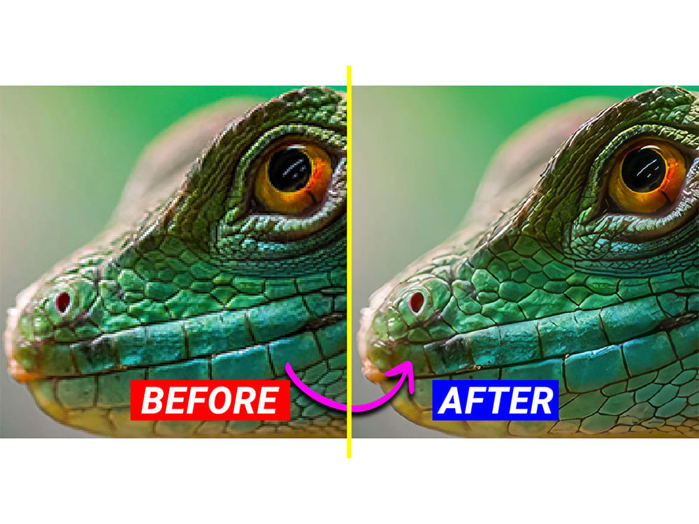 Upscale or enlarge photo resolution with topaz gigapixel ai | Upwork
