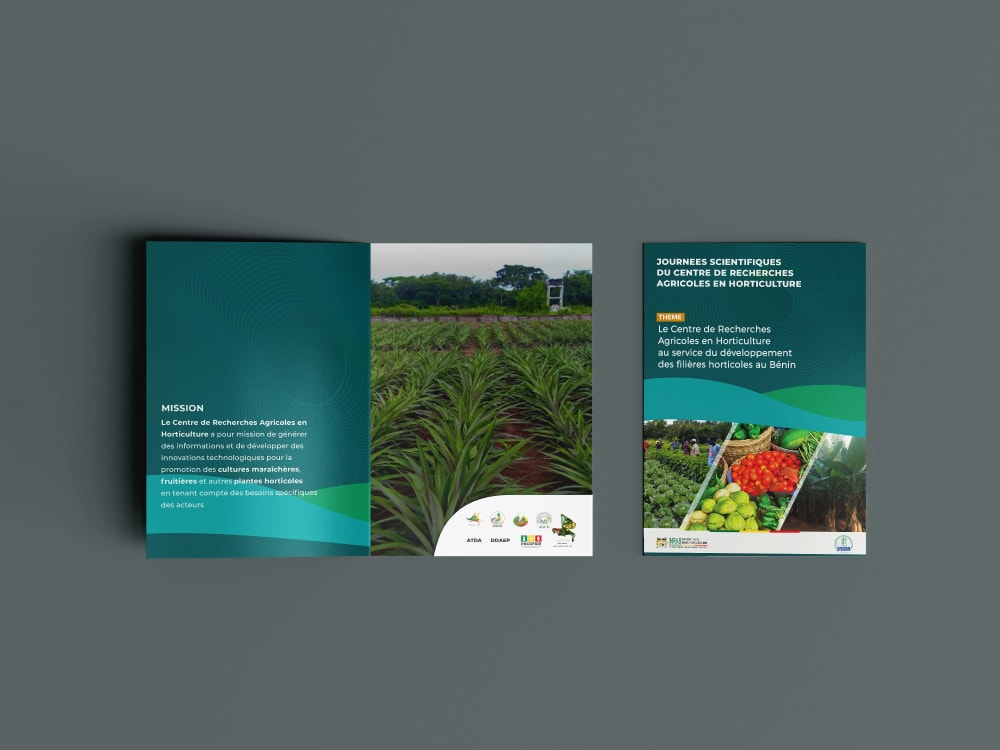 A professional and creative bifold and trifold design | Upwork
