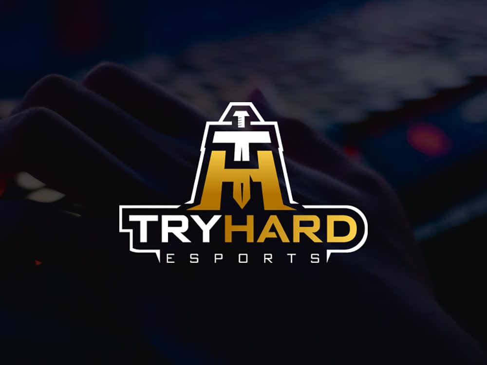 Comprehensive Logo & Branding Solutions for a Lasting Impact | Upwork