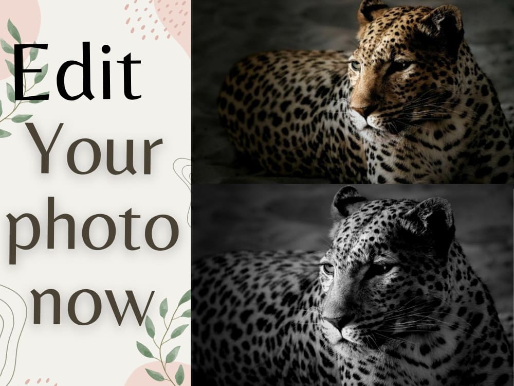 A perfect edited photo that will satisfy you. | Upwork