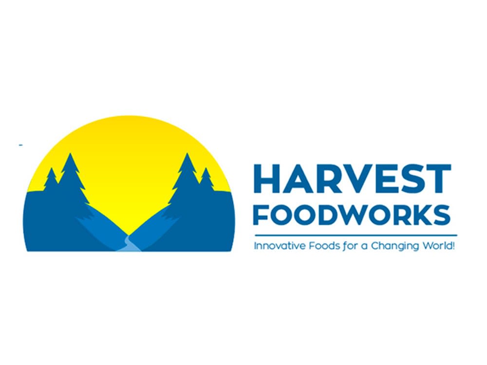 Complete Branding: Logo & Guide | Elevate Your Identity | Upwork