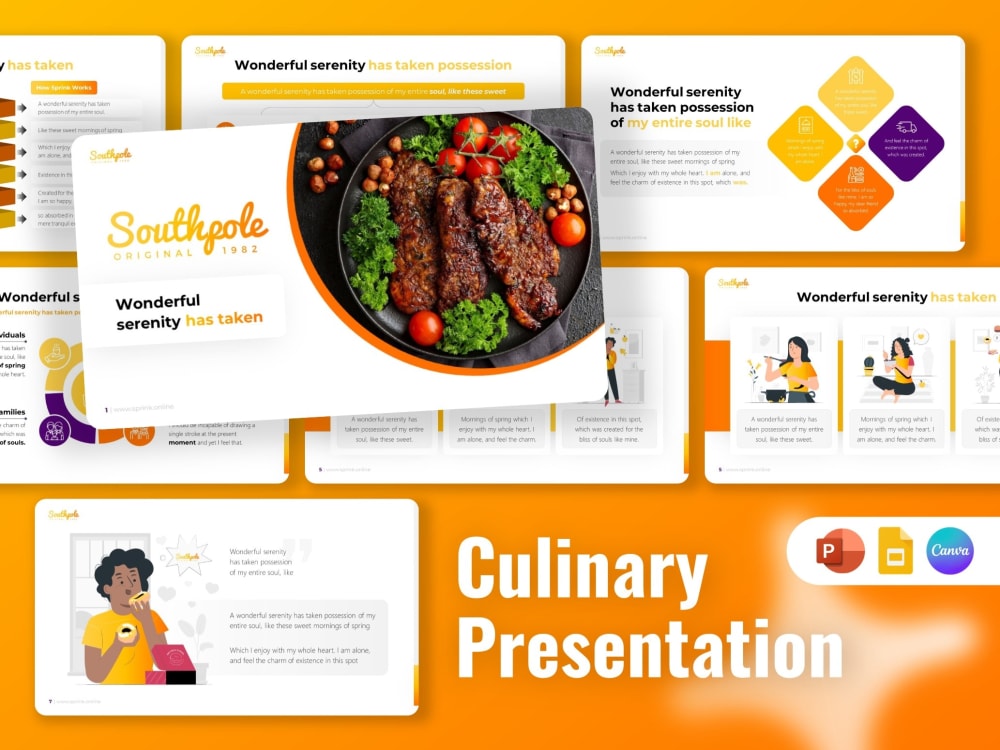 Visually Stunning PPT Presentation, Pitch Deck or Custom Template ...