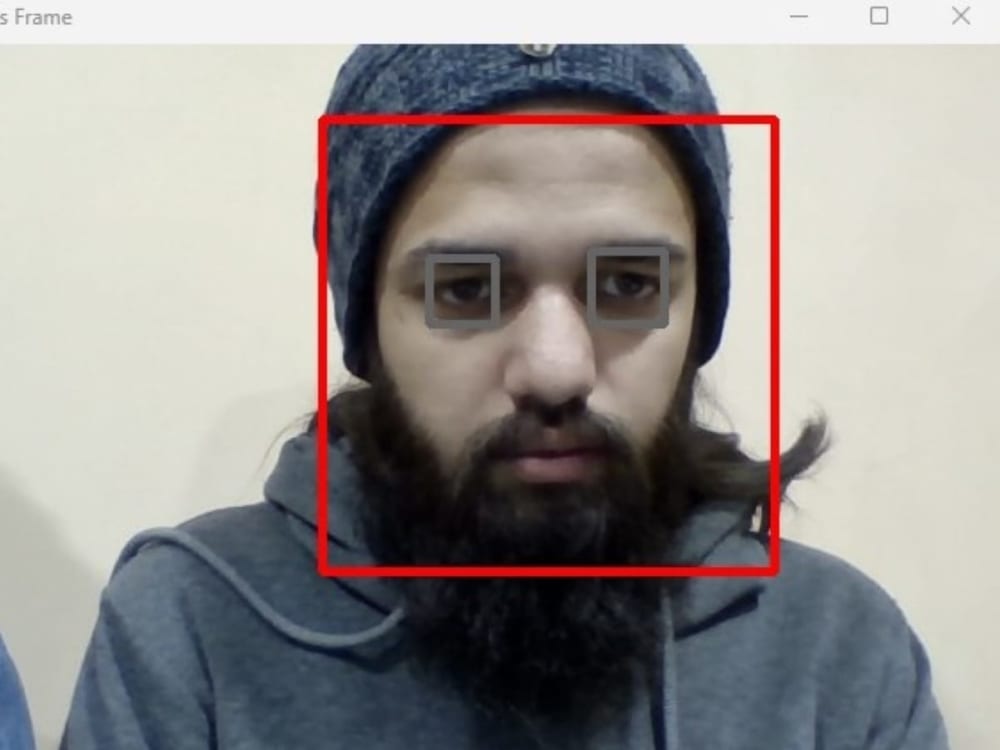 Face And Eye Detection Tool Written In Python Language Upwork