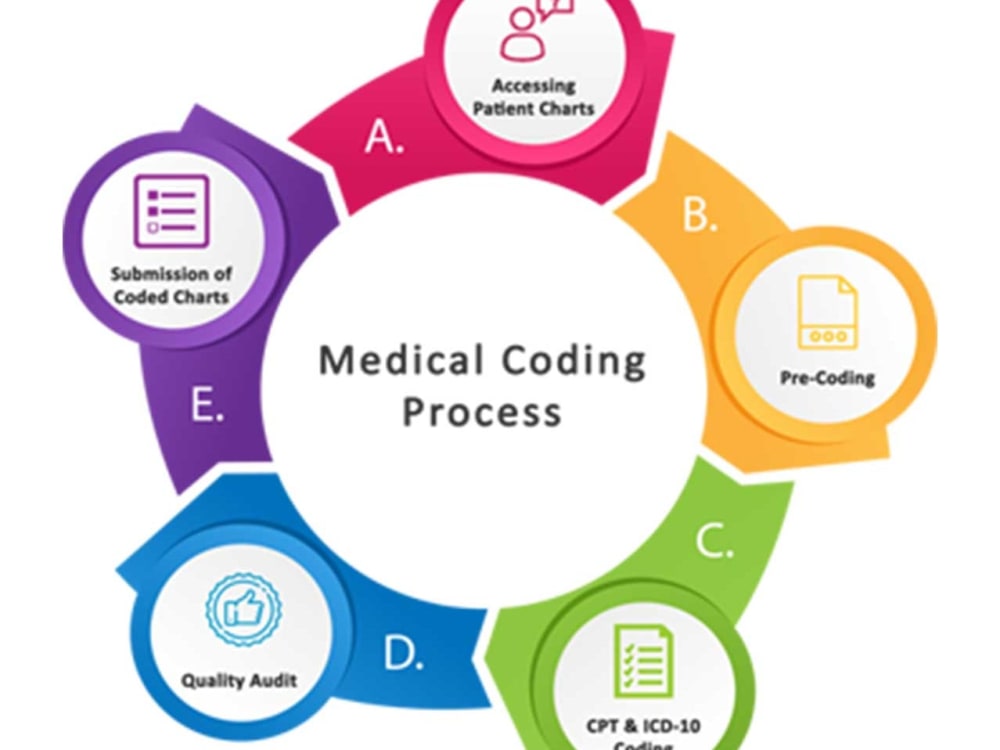 The accurate EMR data entry of your patients. | Upwork