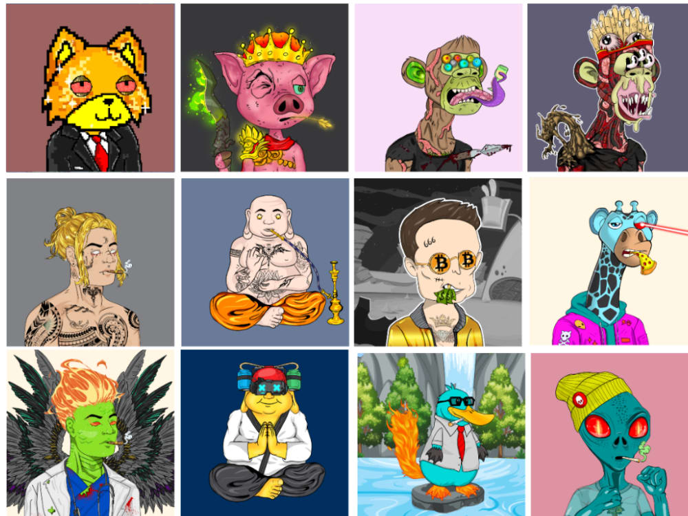 Complete outstanding NFT collection with 10k NFTS | | Upwork