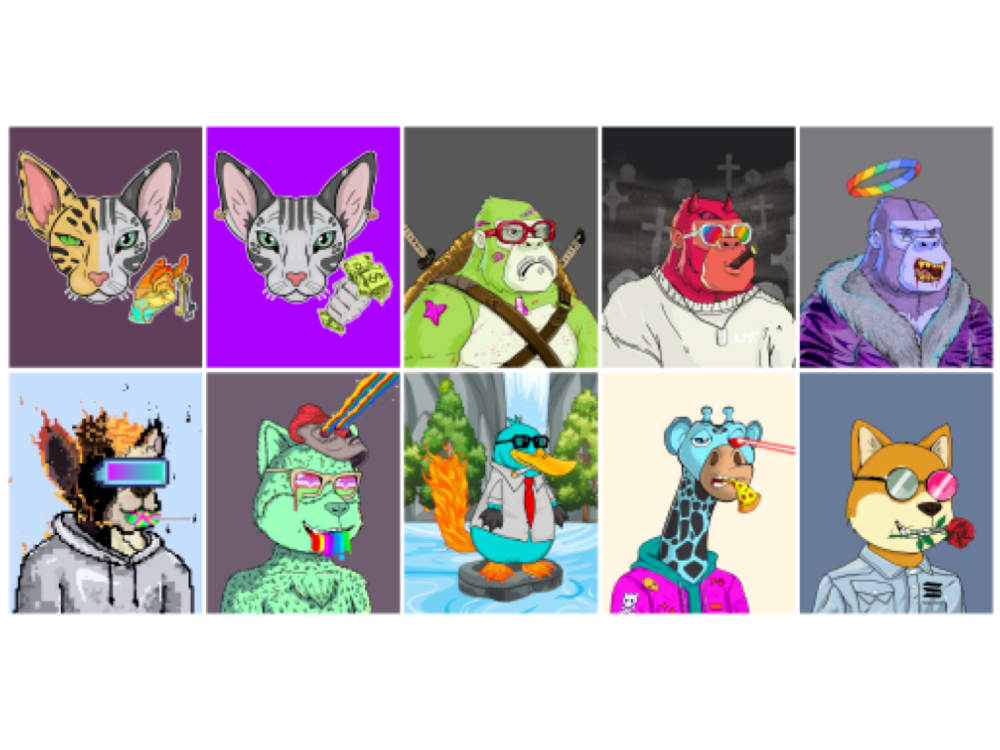 Complete outstanding NFT collection with 10k NFTS | | Upwork