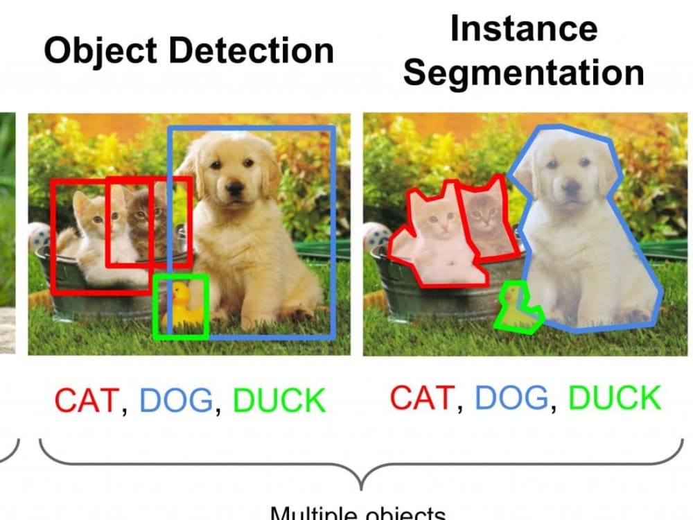 Image Classification: Classify Images into Different Categories | Upwork