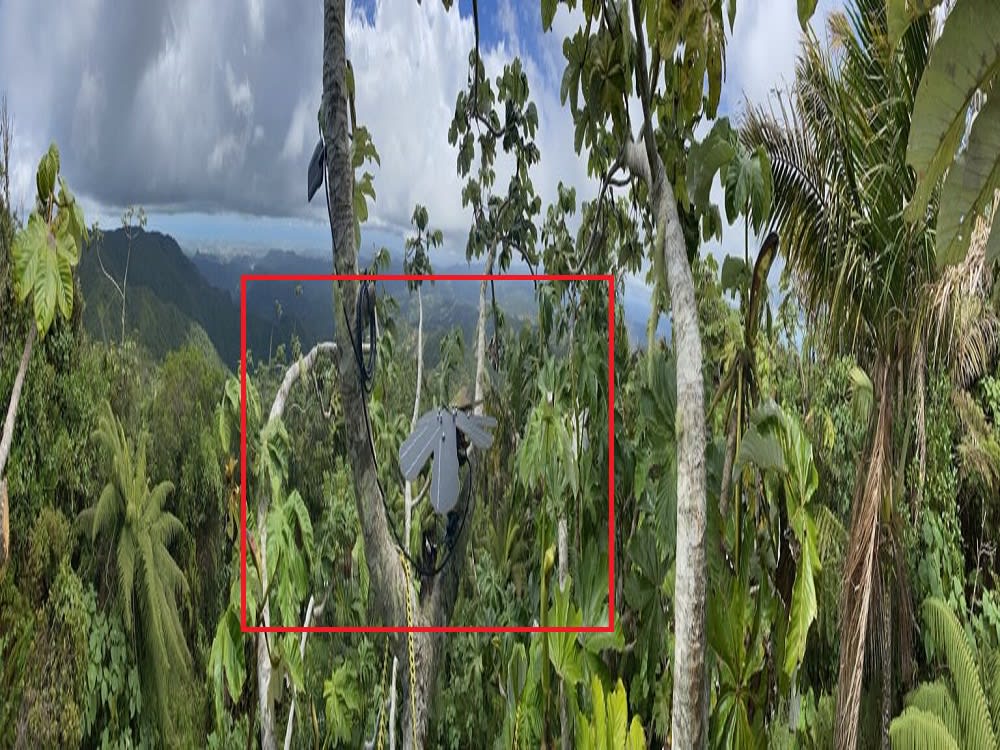 Data Science, AI, MLOps, Data Engineering as Service - NLP, Cloud, Data, | Upwork