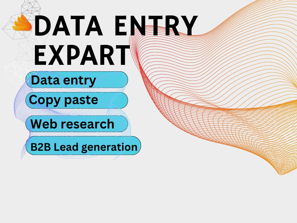 The fastest data entry Excel, internet research, data mining assistant ...