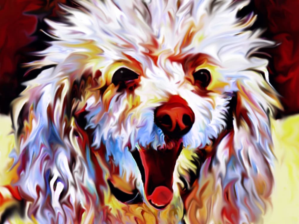 Vibrant and whimsical abstract pet portrait | Upwork