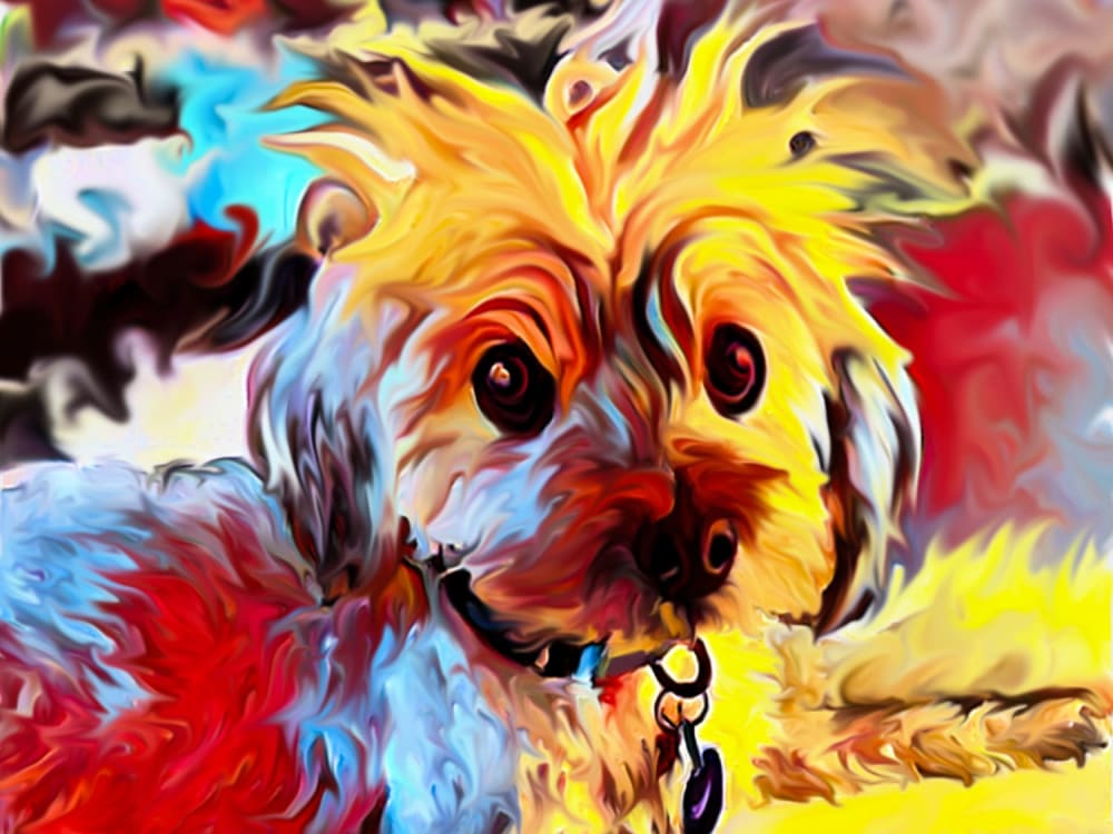 Vibrant and whimsical abstract pet portrait | Upwork