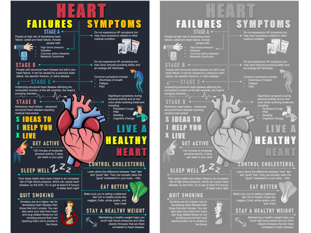 An up-to-date and unique design layouts using CANVA | Upwork