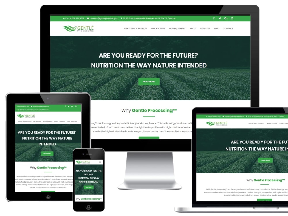 Comprehensive WordPress Website Evaluation & Strategic Action Plan | Upwork