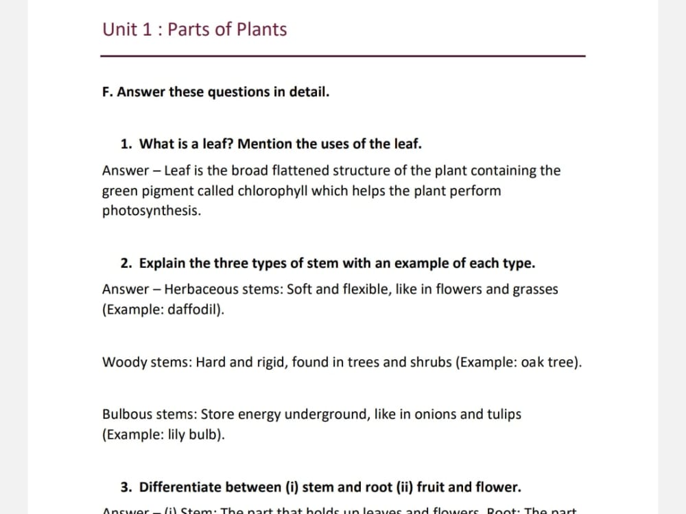 PDF of your Books/notes into English Translated | Upwork