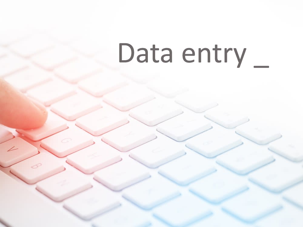 Professional Data Entry: Microsoft Office, Google Docs, Google Sheets ...