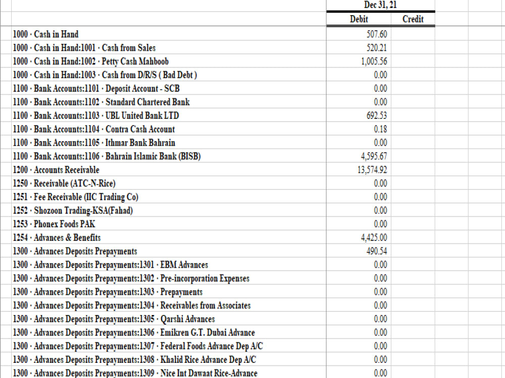 Ease for Accountants (easy way to enter data, updated ledger,financials) | Upwork