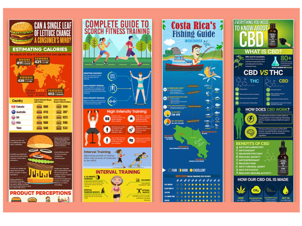 Professional infographic design,business illustration and flow chart ...