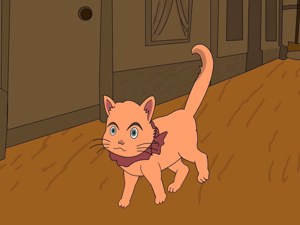 2D Cat Character Animation Project | Upwork