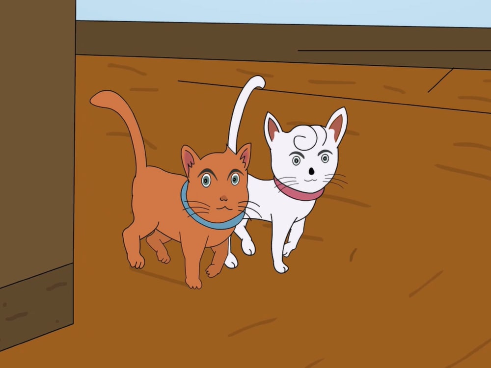 2D Cat Character Animation Project | Upwork