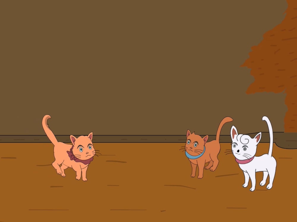 2D Cat Character Animation Project | Upwork