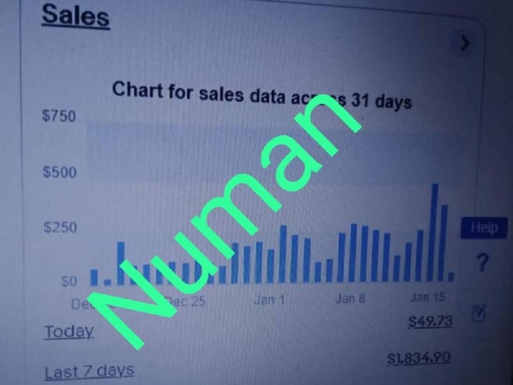EBay Dropshipping account management A to Z | Upwork