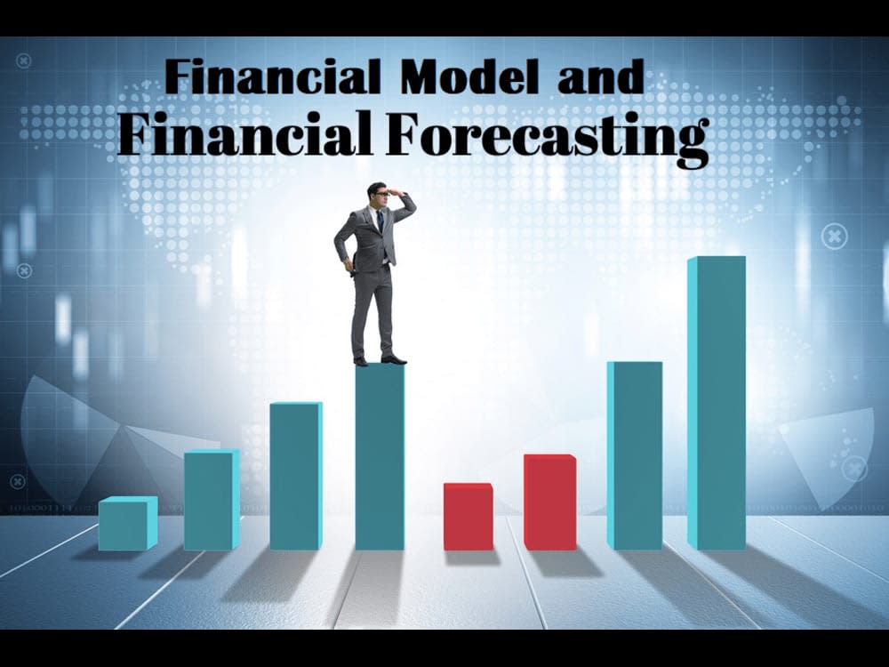 A reliable financial model/forecasts | Upwork