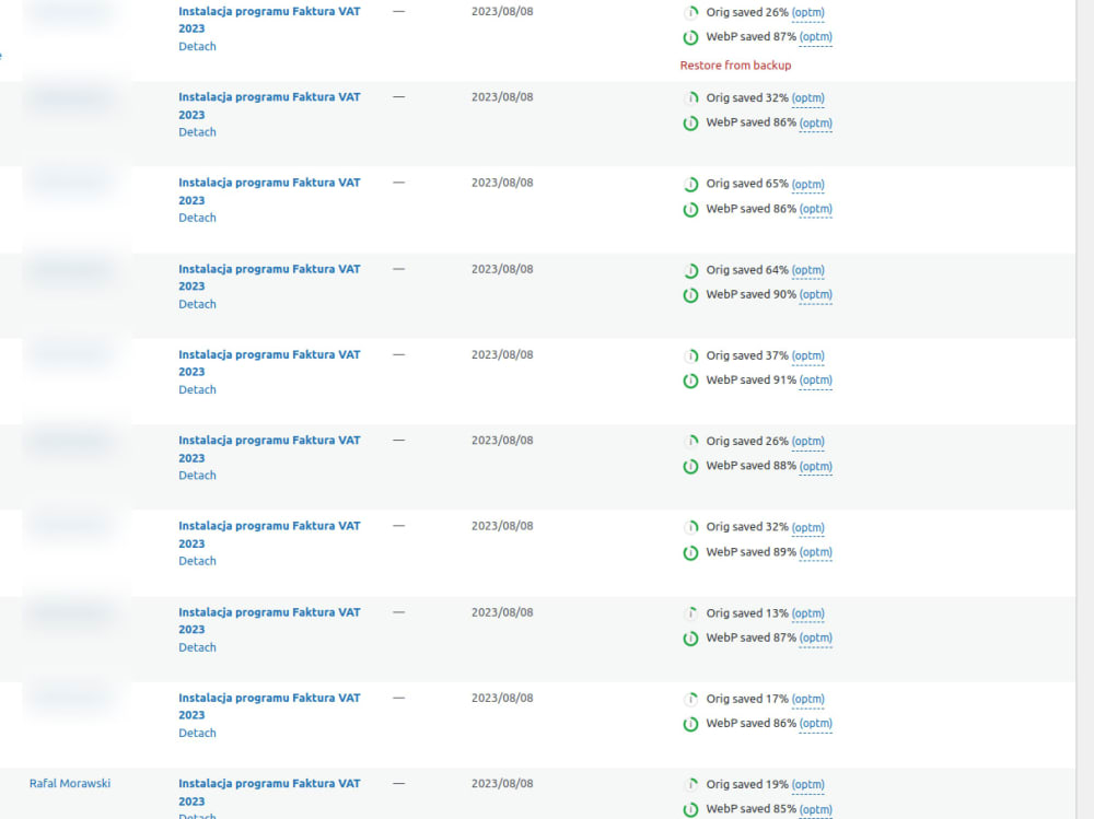 WordPress speed optimization 🚀 and core web vitals fixed | Upwork