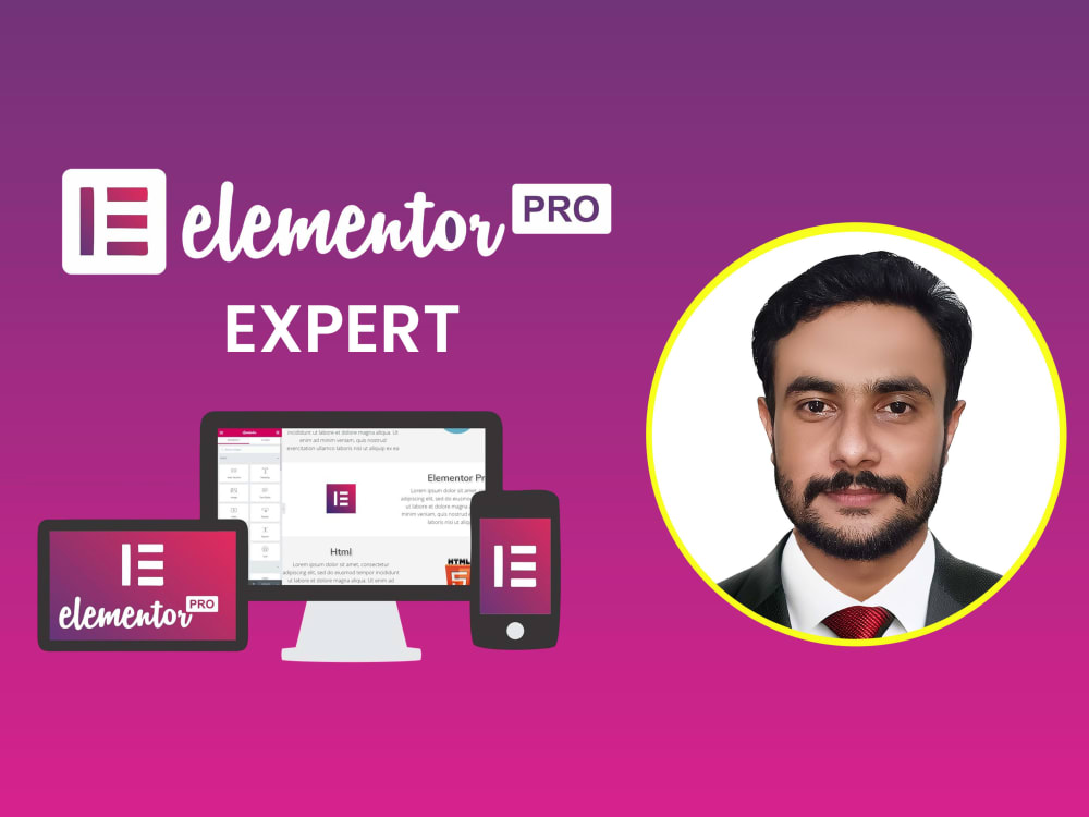 Elementor Expert Elementor Developer Elementor Designer Elementor