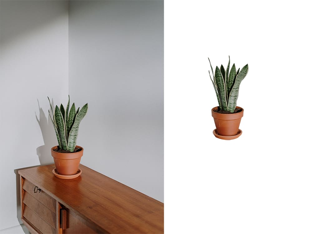 Product Background Removal by using Adobe Photoshop | Upwork