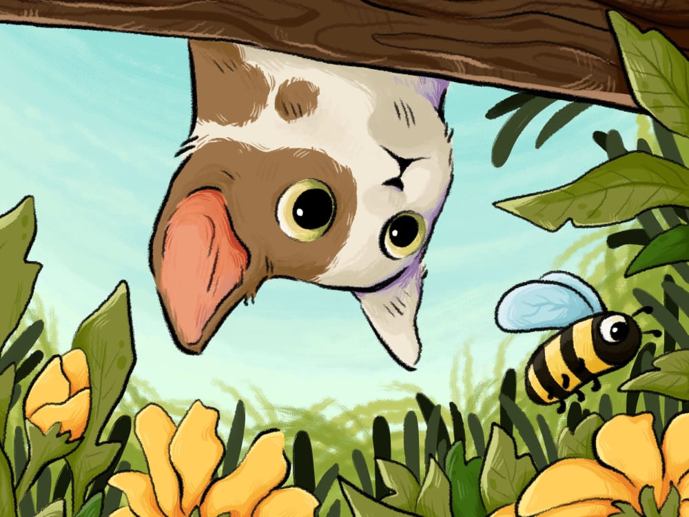 Beautiful children book illustrations and book covers | Upwork