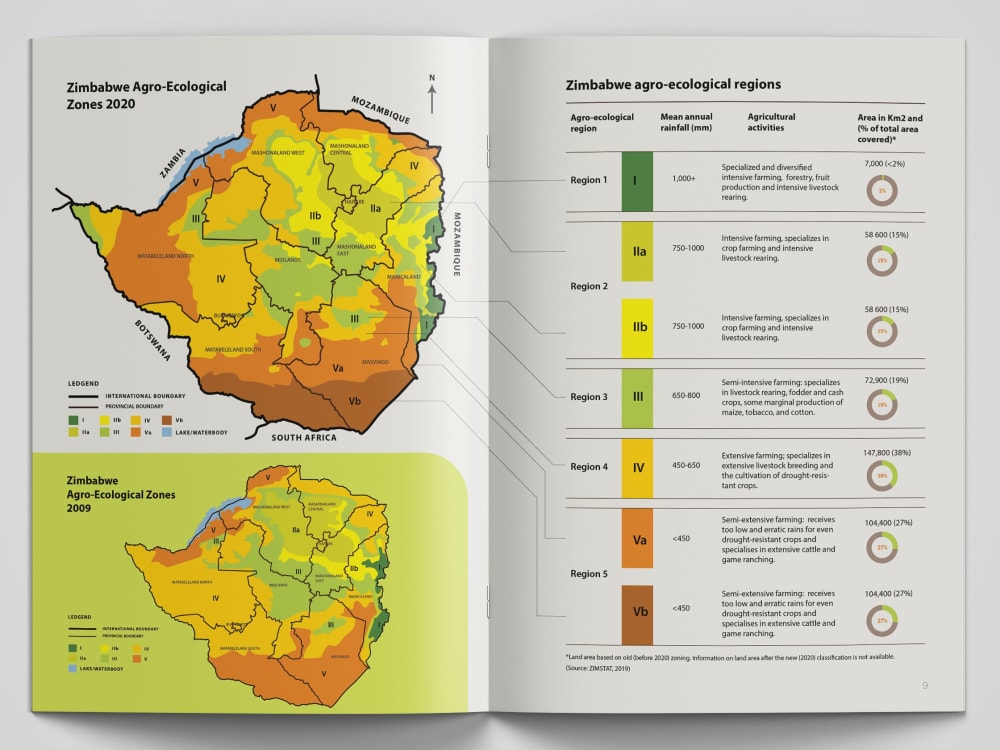 An infographical, visually appealing professional report / document ...