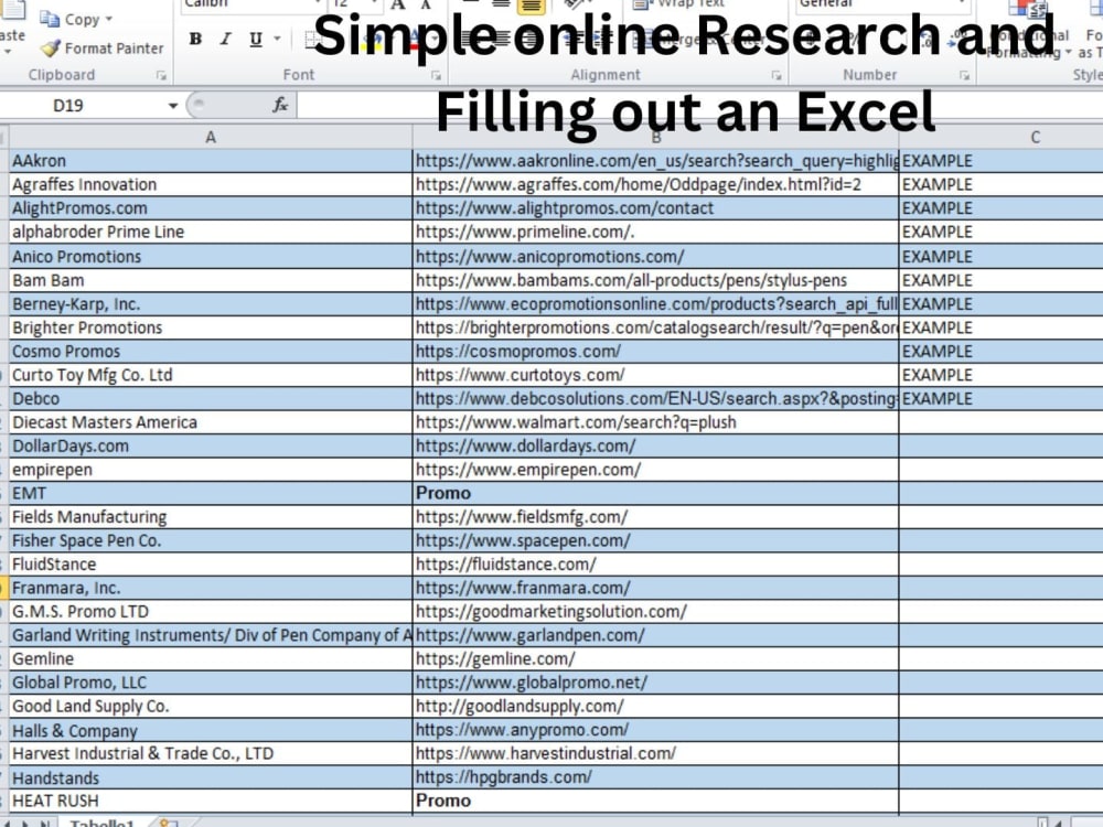 Your virtual assistant for data entry, pdf to excel and copy-paste work ...