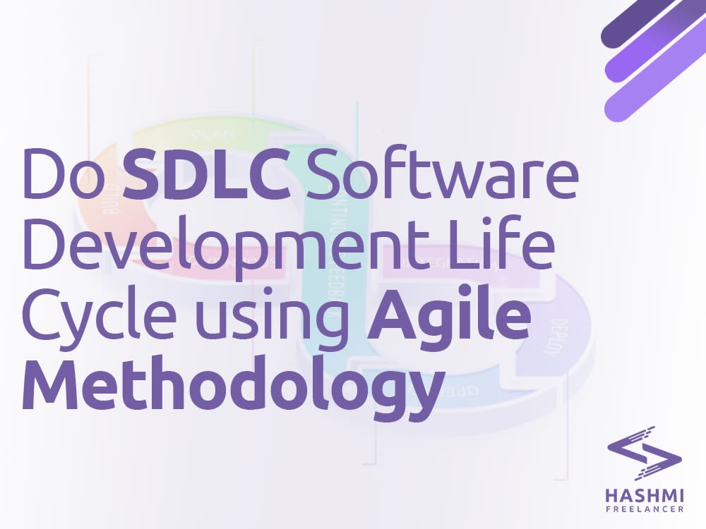 A Complete and detailed Software Development Project Plan | Upwork