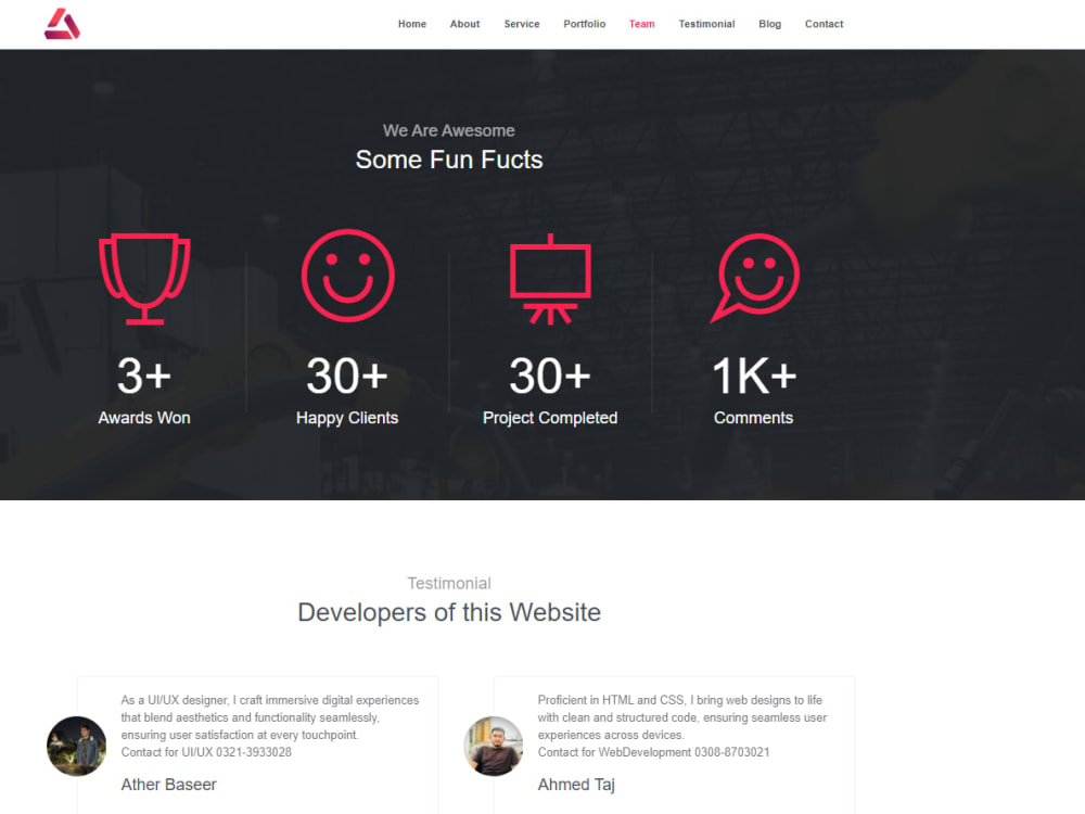Appealing Frontend Website Using Html Css Javascript Upwork