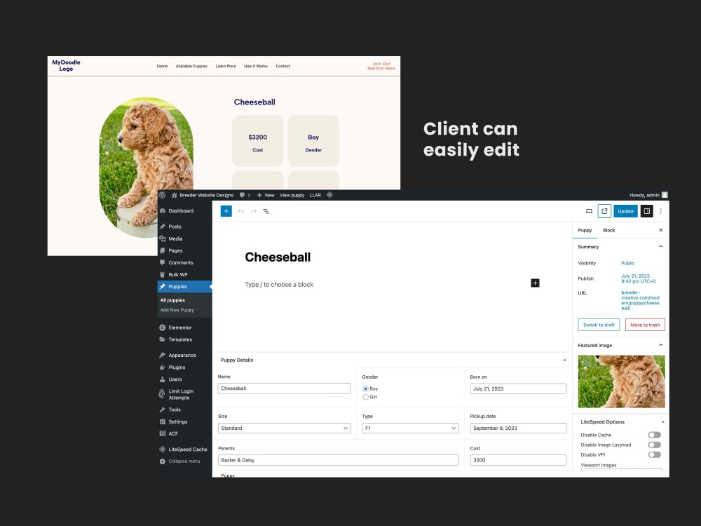 A 5 page website design. It will include copy and stock photos for $5k ...